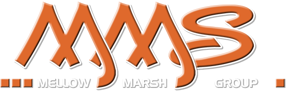 Welcome to the MMS Group | MMS Group